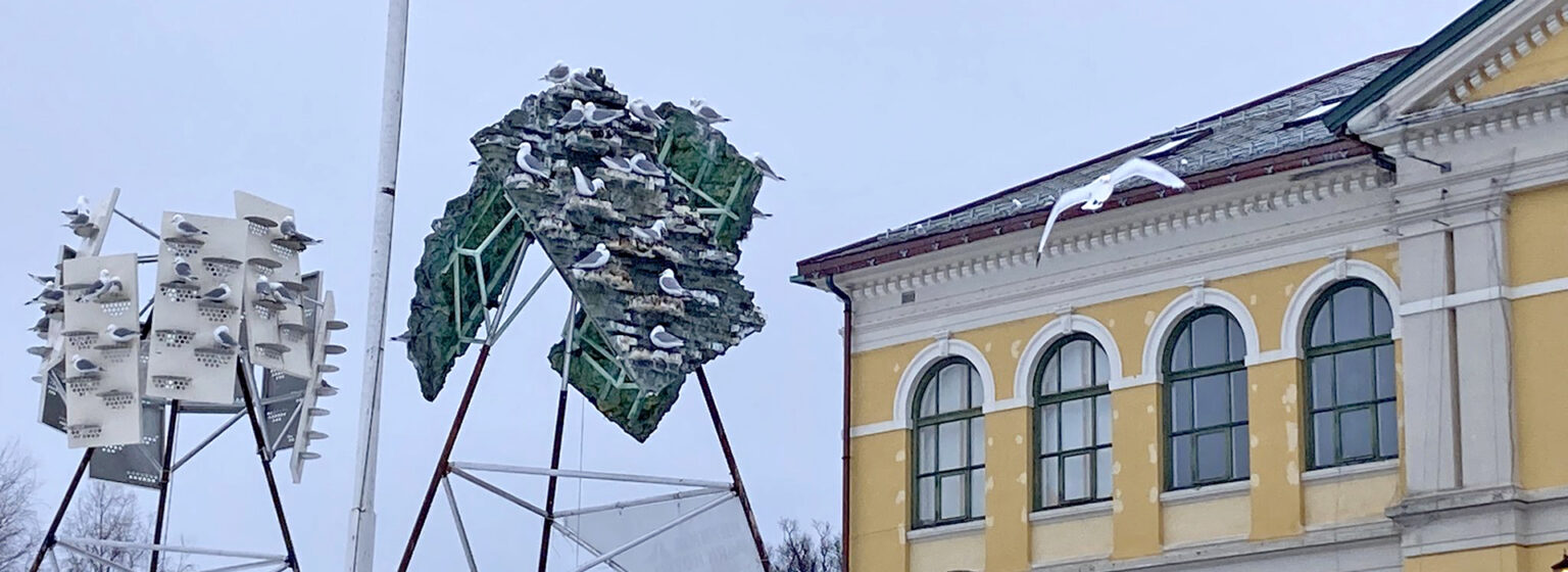 Kittiwakes.org — Helping to Support Kittiwake colonies throughout the ...